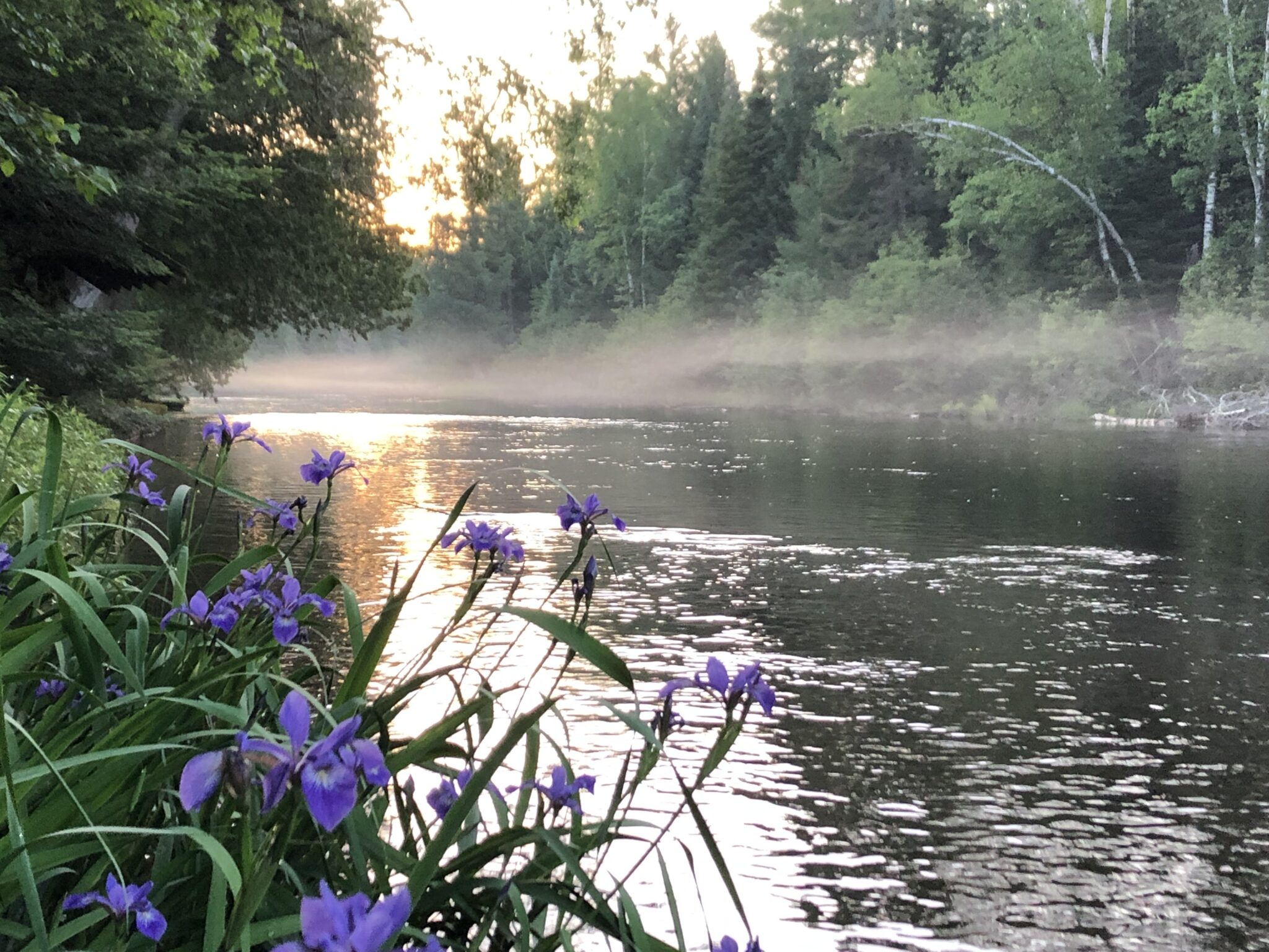Know Your River – Au Sable River Property Owners Association